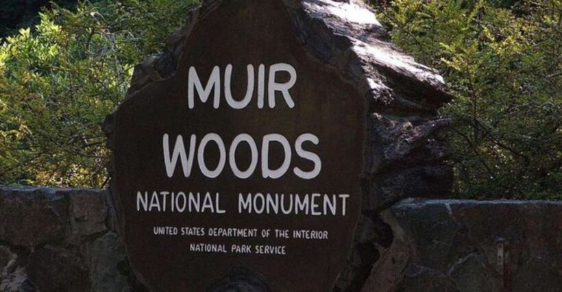 San Francisco: Muir Woods, Sausalito, and Tiburon Day Trip - The Itinerary: What to Expect on Your Day