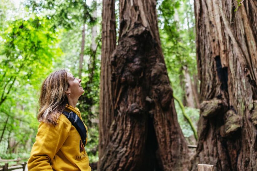 San Francisco: Muir Woods & Sausalito Tour with Ferry Option - A Closer Look at the Tour Experience
