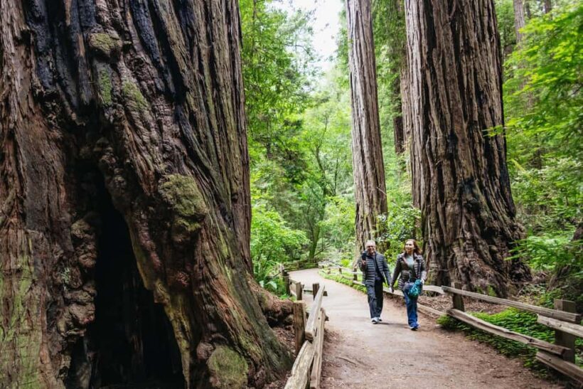 San Francisco: Muir Woods & Sausalito Tour with Ferry Option - Final Thoughts