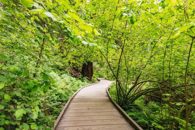 San Francisco: Muir Woods & Sausalito Tour with Ferry Option - Additional Information