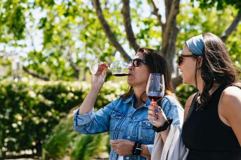 San Francisco: Napa and Sonoma Valley Wine Tour - Key Points