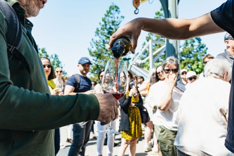 San Francisco: Napa and Sonoma Valley Wine Tour - An Introduction to the Experience