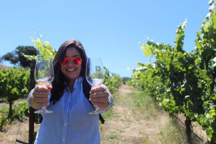 San Francisco: Napa and Sonoma Valley Wine Tour - The Value of the Tour