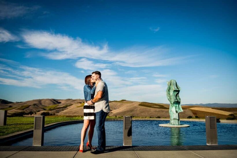 San Francisco: Napa and Sonoma Valley Wine Tour - Who This Tour Is Best For