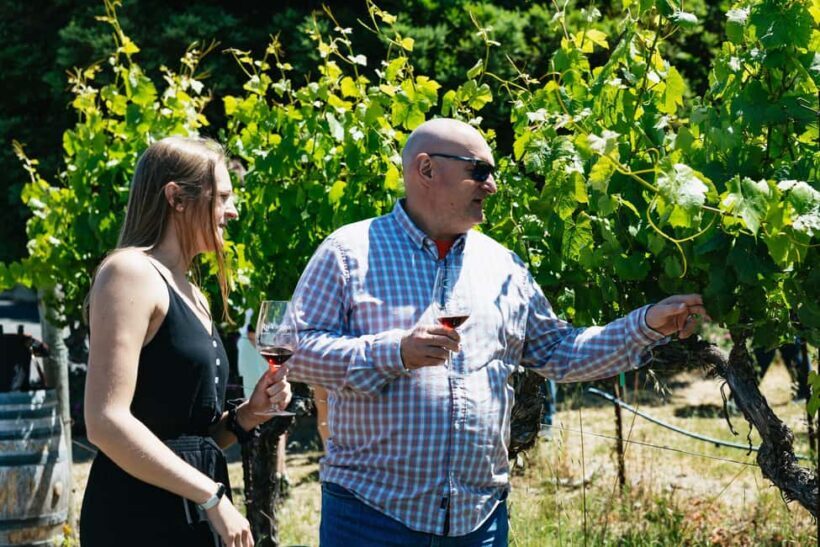 San Francisco: Napa and Sonoma Valley Wine Tour - The Sum Up