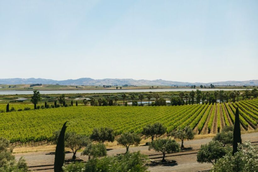 San Francisco: Napa and Sonoma Valley Wine Tour - FAQ