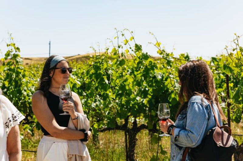 San Francisco: Napa and Sonoma Valley Wine Tour - Who Should Book This Tour?