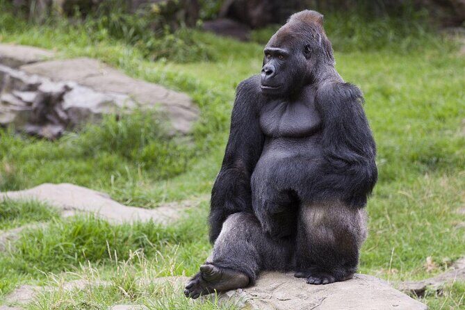 San Francisco Pass: Save up to 50% - Includes Big Bus Tours - Key Points