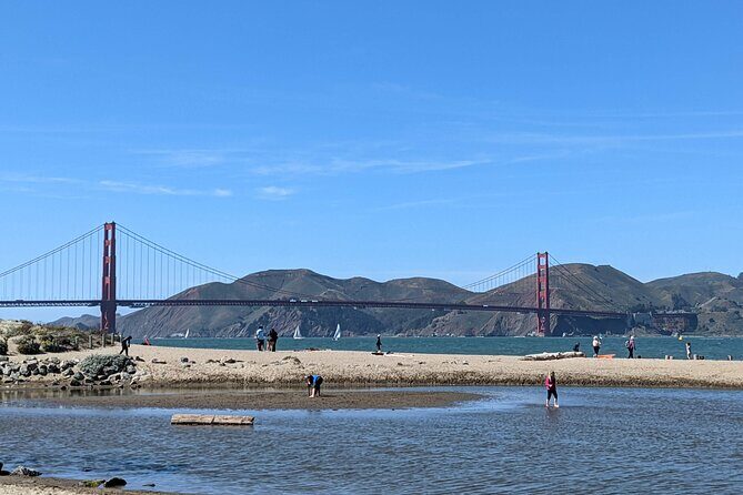 San Francisco Presidio Scavenger Hunt Walking Tour and Game - Reviews and Feedback