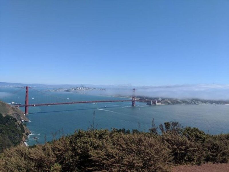 San Francisco: Private City Sightseeing Tour - Who Should Consider This Tour?