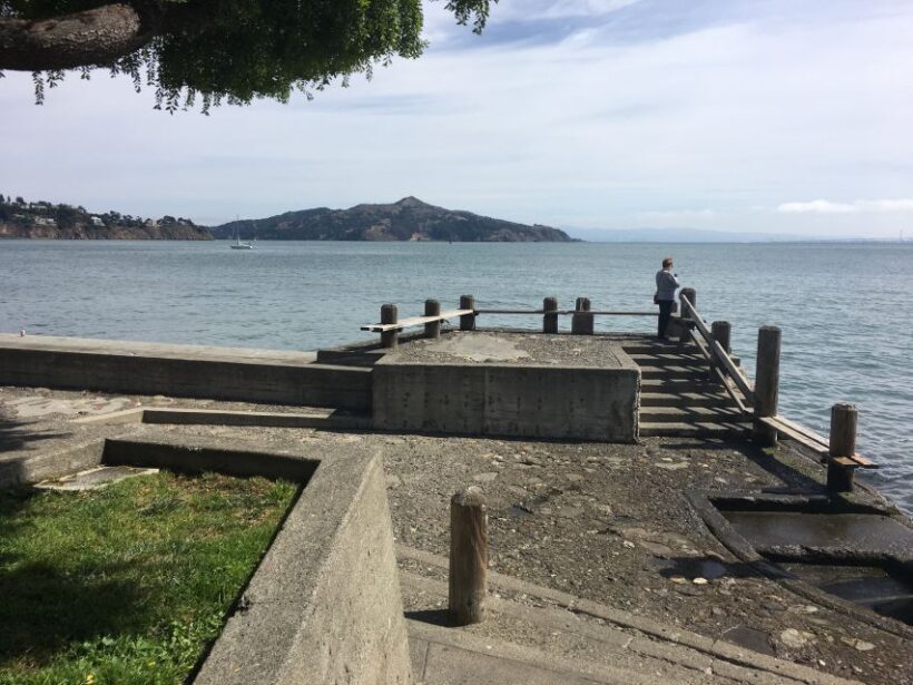 San Francisco: Private Muir Woods and Sausalito Tour - Practical Tips for Your Tour