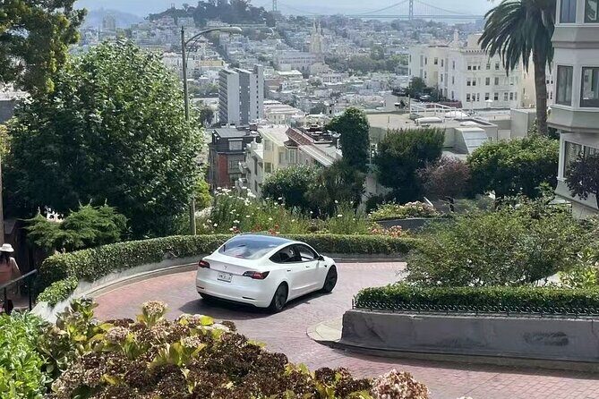San Francisco Private Sightseeing Tour - Who Would Love This Tour?