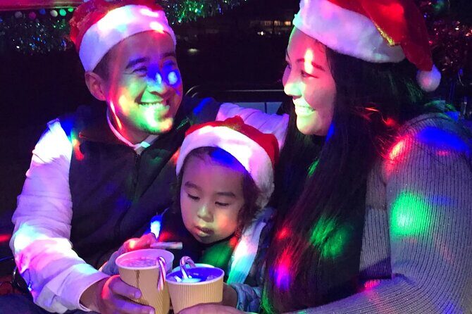 San Francisco Private Small Group Holiday Lights Tour - FAQs