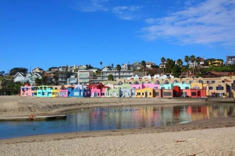 San Francisco: Redwood Forest & Santa Cruz Harbor 1-Day Trip - Key Points
