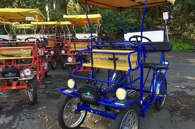 San Francisco: Scenic Surrey Ride Through Golden Gate Park - The Sum Up