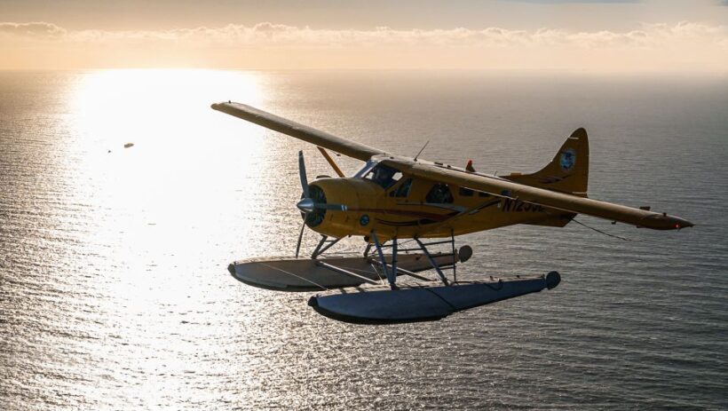 San Francisco: Seaplane Flight with Champagne - A Closer Look at the Experience