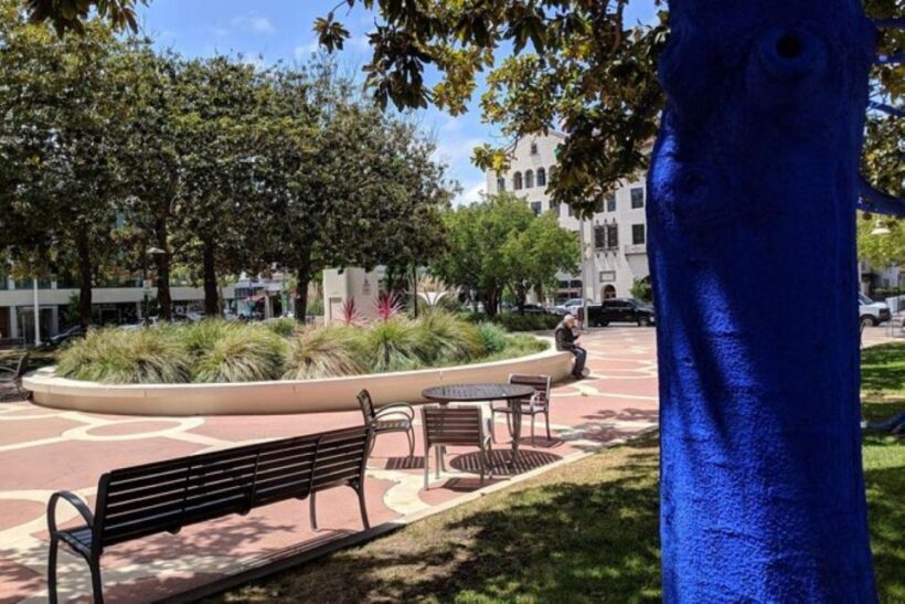 San Francisco: Silicon Valley Private Tour with Transfers - What Travelers Have Said