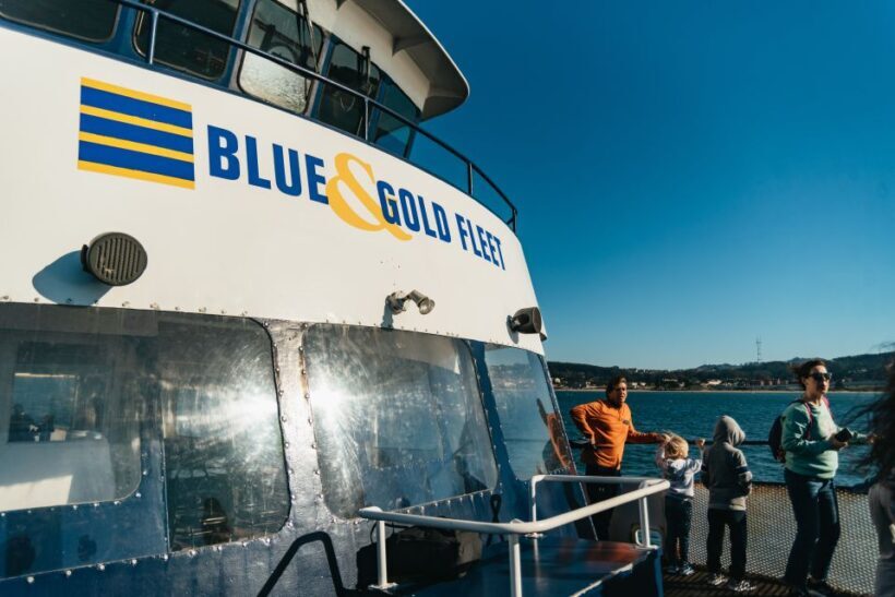 San Francisco: Skip-the-Line 1-Hour Bay Cruise by Boat - An In-Depth Look at the Experience