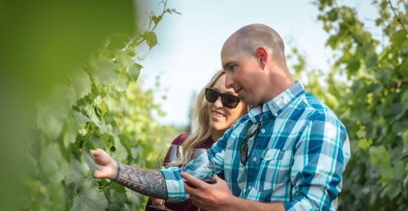 San Francisco: Sonoma Wine Country Tour with Tastings - Starting the Day: Convenient Pickup and Small Group Atmosphere