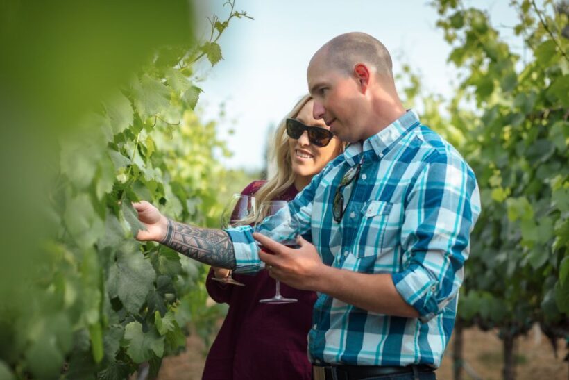 San Francisco: Sonoma Wine Country Tour with Tastings - Scenic Drive to Sonoma Valley