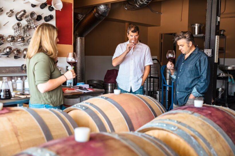 San Francisco: Sonoma Wine Country Tour with Tastings - Visiting Boutique Wineries: What Sets Them Apart