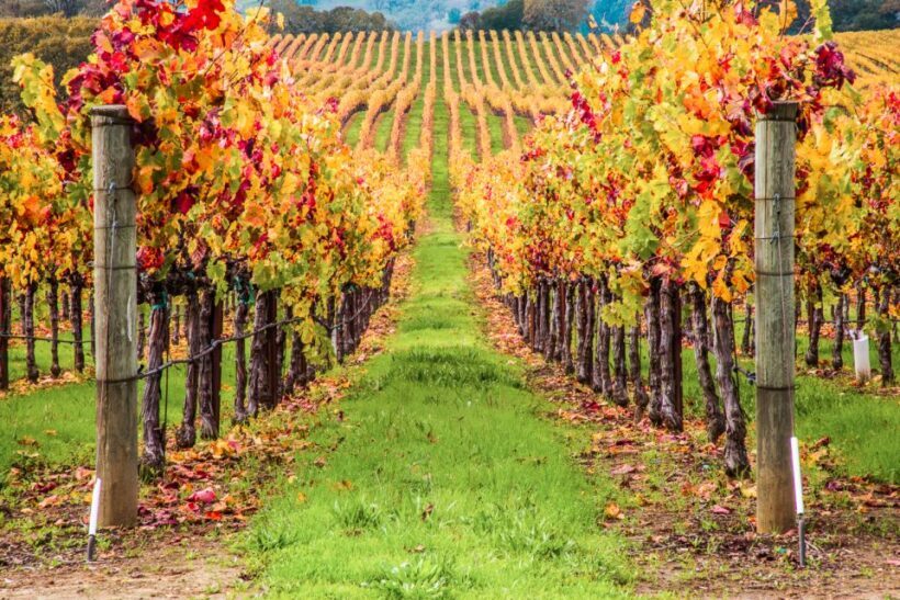 San Francisco: Sonoma Wine Country Tour with Tastings - Scenic Stops: Sausalito and the Golden Gate Bridge