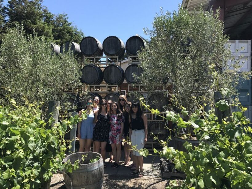 San Francisco: Sonoma Wine Country Tour with Tastings - Lunch Break in Sonoma