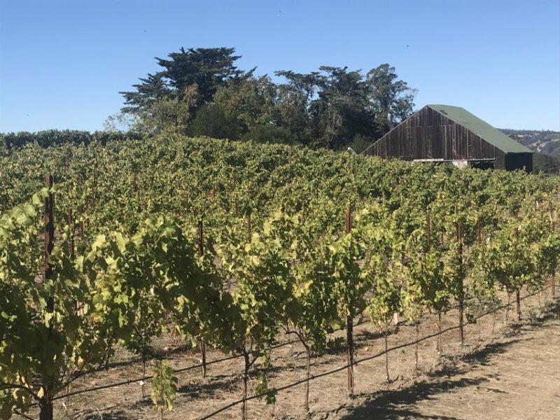 San Francisco: Sonoma Wine Country Tour with Tastings - Is the Price Worth It?