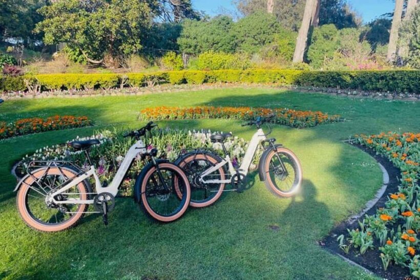 San Francisco: Summer of Love Guided eBike Tour - Who Will Love This Tour?