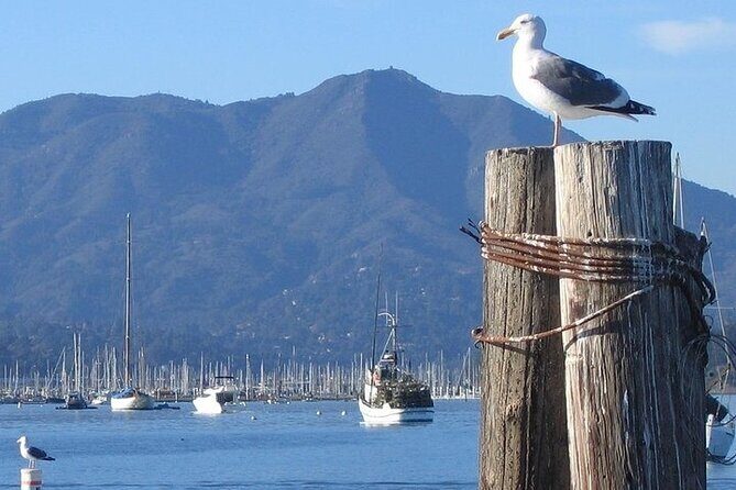 San Francisco Sunset Cruise - An Honest Look at the Experience