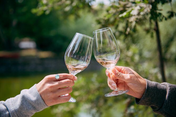San Francisco Super Saver: Muir Woods & Wine Country w/ optional Gourmet Lunch - A Closer Look at the Itinerary and Experience