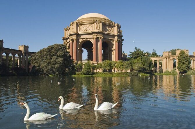 San Francisco: Surrey Ride Along the Scenic Marina Waterfront - Analyzing the Value