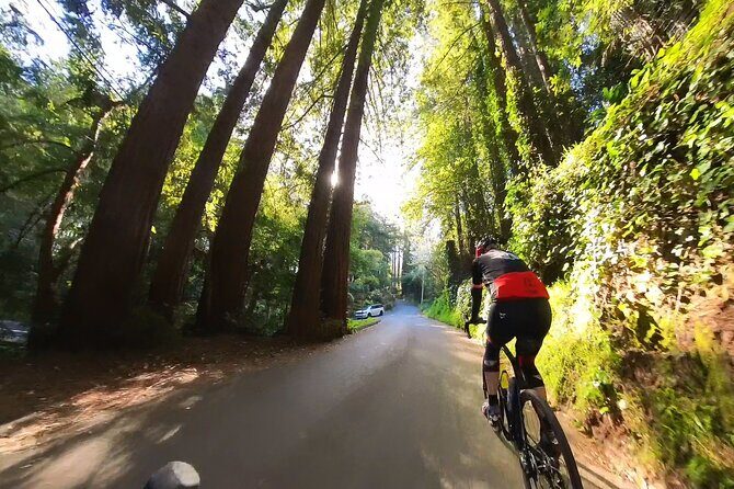 San Francisco to Muir Woods Cycling Tour - What’s Included and What’s Not
