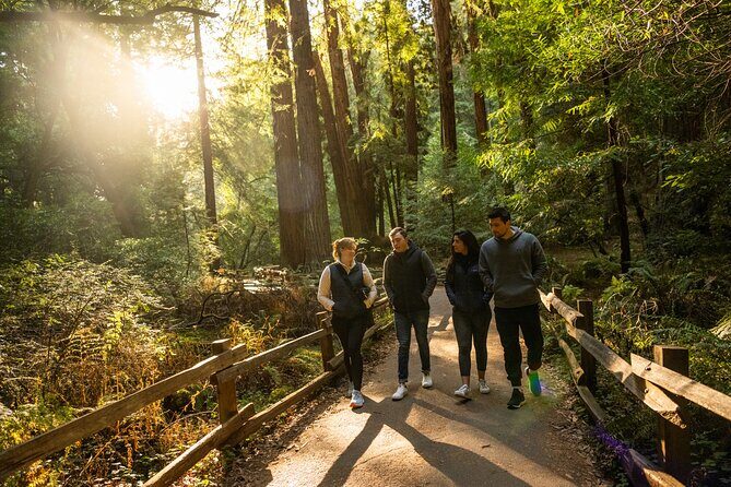San Francisco to Muir Woods Shuttle - Introduction: What Makes This Tour Stand Out