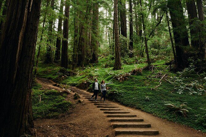 San Francisco to Muir Woods Shuttle - Who Should Consider This Tour?