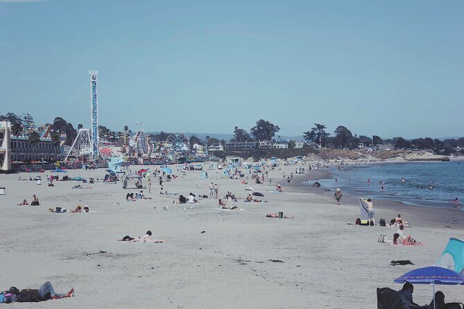 San Francisco to Santa Cruz Day Trip: Redwoods and Beach Fun - Summary of the Experience