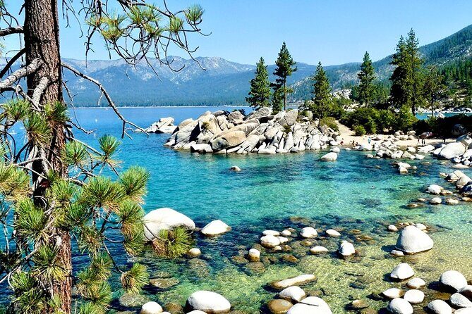 San Francisco to Yellowstone and Las Vegas 7-Day Tour - Key Points