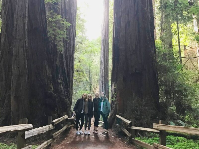 San Francisco Tour to Muir Woods Giant Redwoods & Sausalito - Starting Point and Logistics