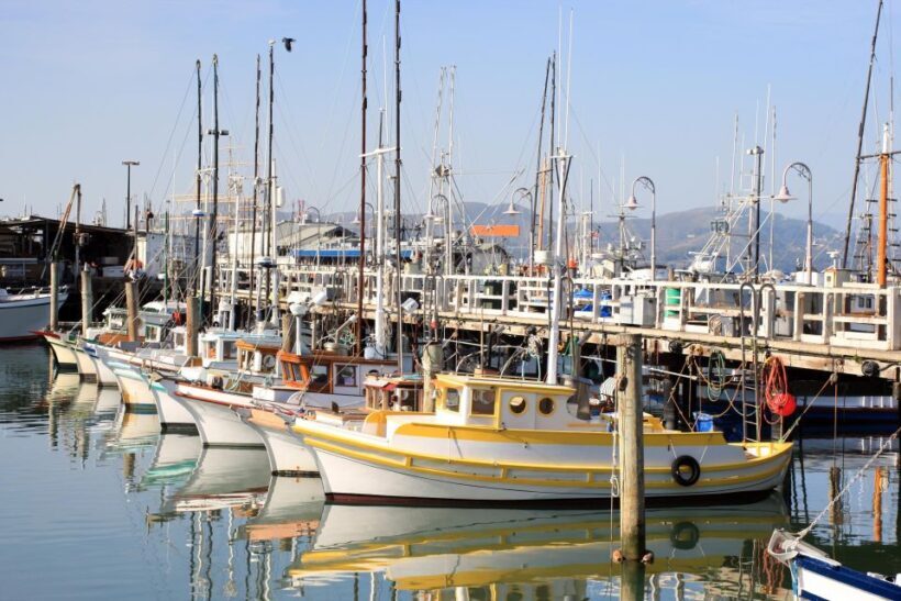 San Francisco Ultimate City Tour with Bay Cruise Option - Final Thoughts