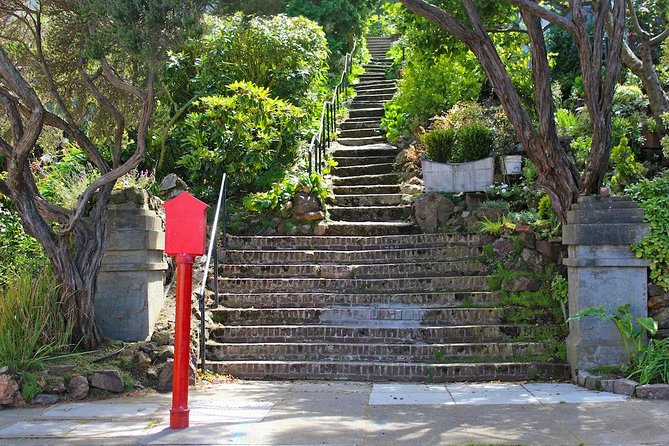 San Francisco Urban Hike: Castro and Twin Peaks - Overview of the Hike