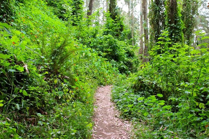 San Francisco Urban Hike: Castro and Twin Peaks - What to Bring for the Hike