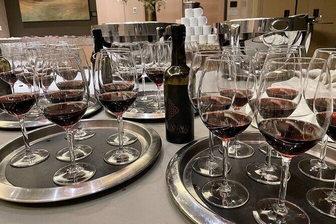 San Francisco Wine Country Tour in EV VW Van - The Experience: A Closer Look