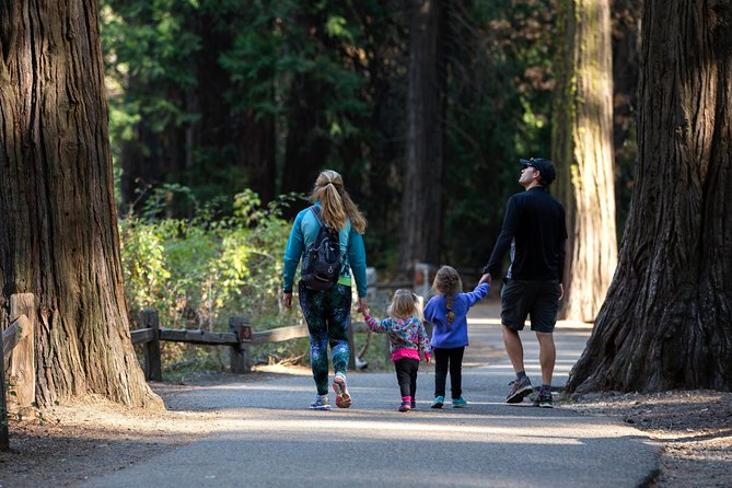 San Francisco: Yosemite National Park and Giant Sequoia Day Tour - Transportation, Group Size, and Value