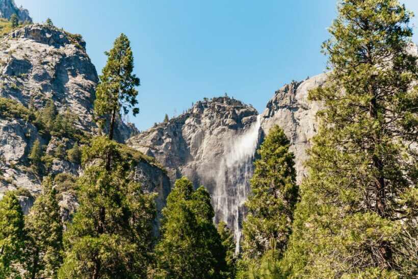 San Francisco: Yosemite National Park & Giant Sequoias Hike - Return Journey and Overall Value
