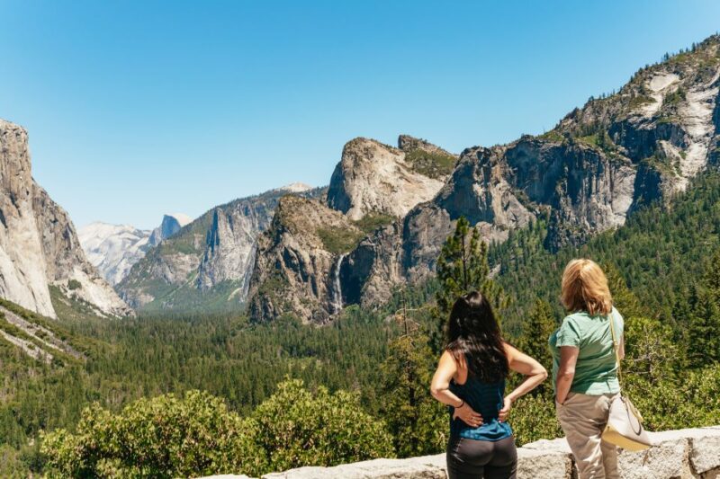 San Francisco: Yosemite National Park & Giant Sequoias Hike - Inside Yosemite: What to Expect