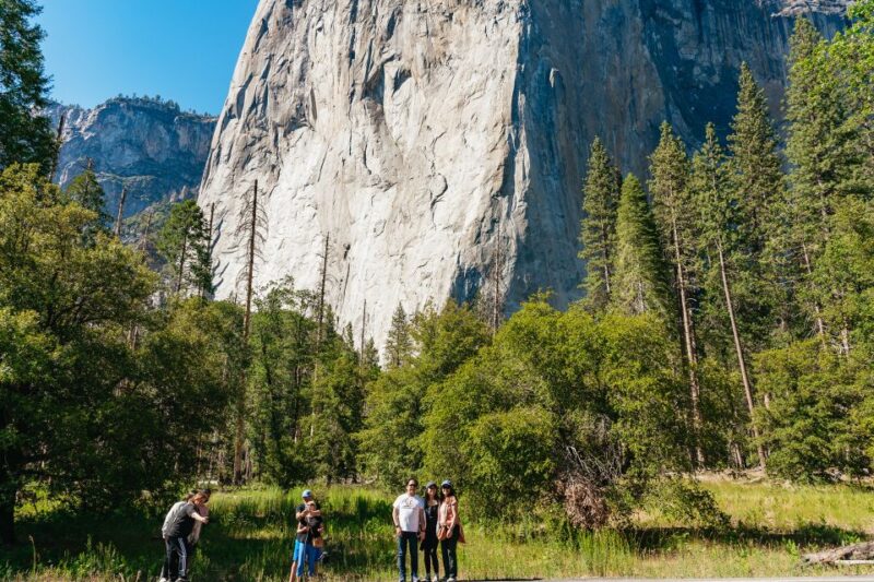 San Francisco: Yosemite National Park & Giant Sequoias Hike - Who Should Consider This Tour?