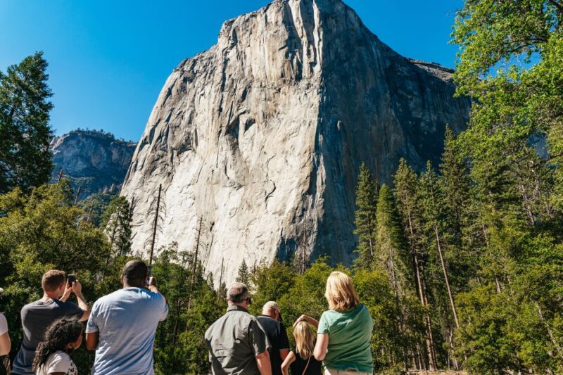San Francisco: Yosemite National Park & Giant Sequoias Hike - FAQ: Practical Questions Answered