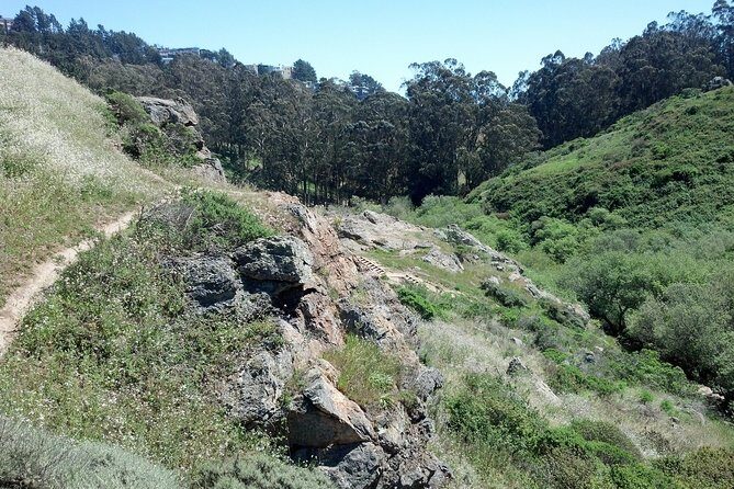 San Francisco's Glen Park and Glen Canyon: A Self-Guided Tour - Exploring San Francisco’s Glen Park and Glen Canyon: A Self-Guided Tour