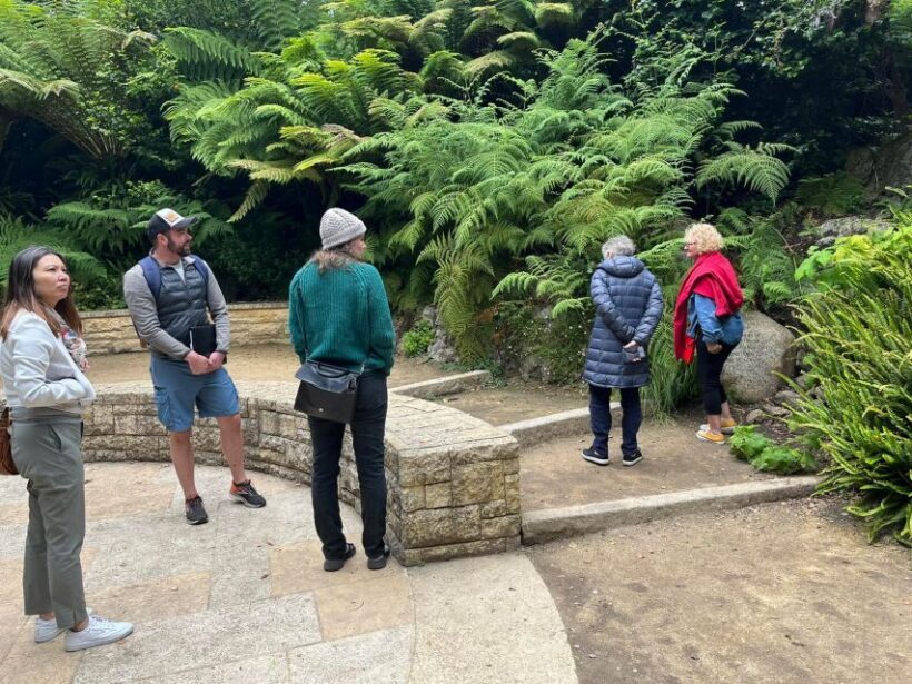 San Francisco's Wild Side, Ecotour With Meteorologist - The Inner Sunset and Local Flavors