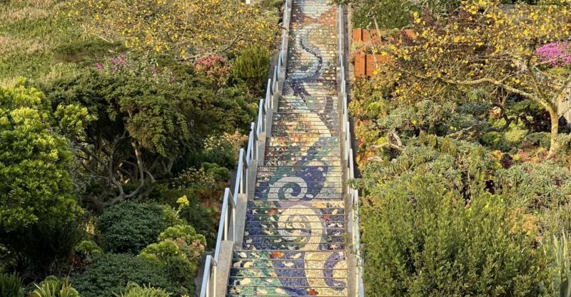 San Francisco's Wild Side, Ecotour With Meteorologist - A Closer Look at the Tour Experience